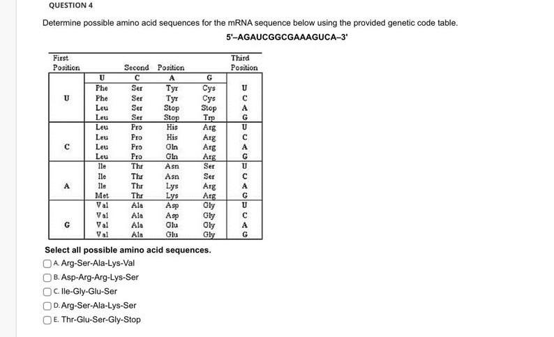 Solved QUESTION 4 Determine possible amino acid sequences | Chegg.com