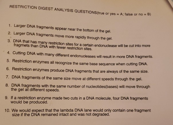 Solved RESTRICTION DIGEST ANALYSIS QUESTIONS(true or yes = | Chegg.com