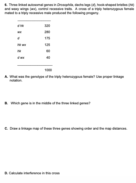 Solved Three linked autosomal genes in Drosophila, dachs | Chegg.com