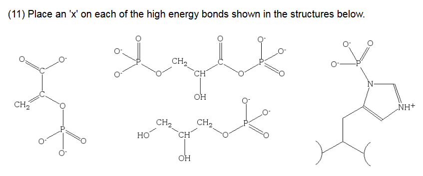 Solved (11) Place an 'x' on each of the high energy bonds | Chegg.com