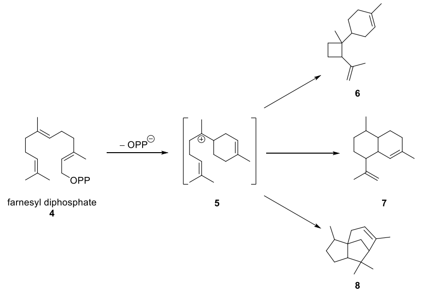 Solved Farnesyl diphosphate (4) is the precursor for the | Chegg.com