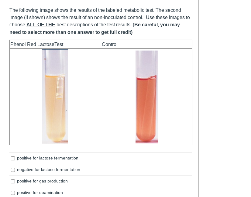 Solved The following image shows the results of the labeled | Chegg.com