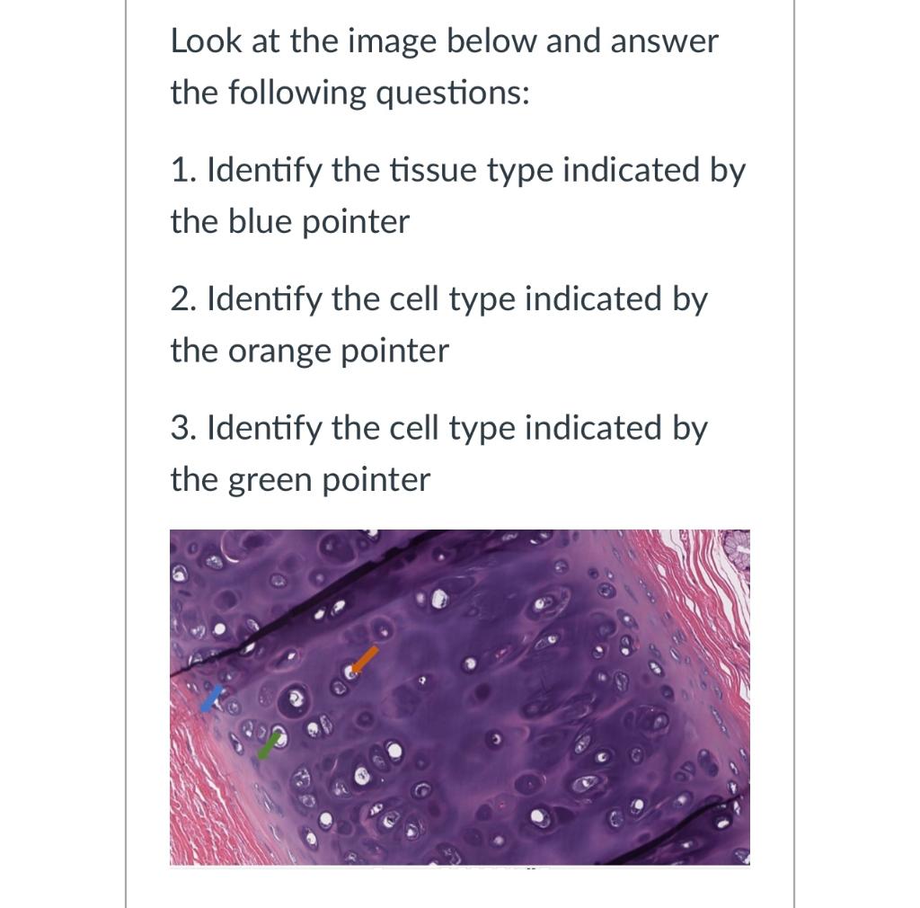 Solved Please please please help me with these questions. | Chegg.com