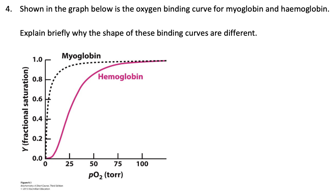 Solved 4. Shown in the graph below is the oxygen binding | Chegg.com