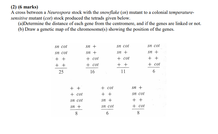 Solved A cross between a Neurospora stock with the snowflake | Chegg.com