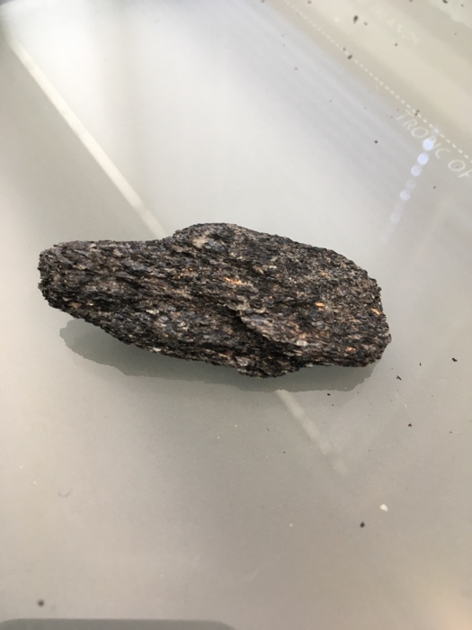 Solved Q1 (a) The following is a sample of schist. Describe | Chegg.com