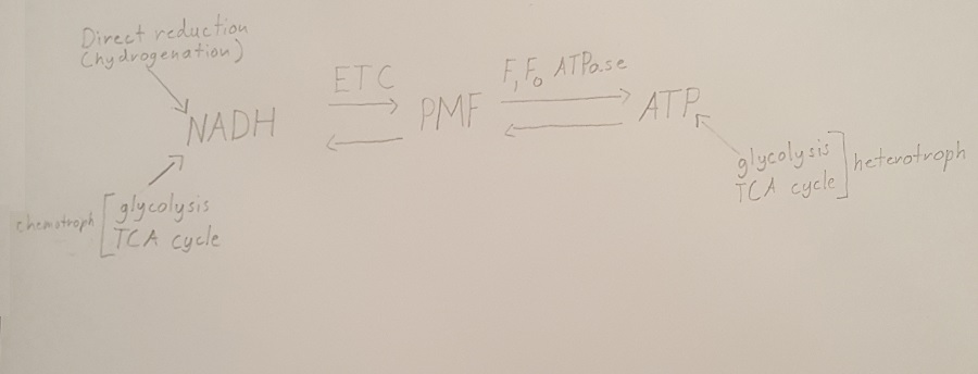 Solved Use the electron tower below as needed throughout the | Chegg.com