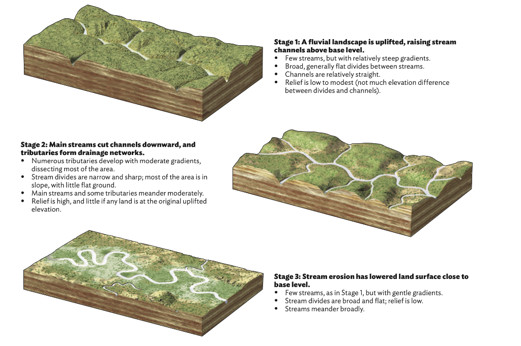 Solved Using the following image, which describes the stages | Chegg.com