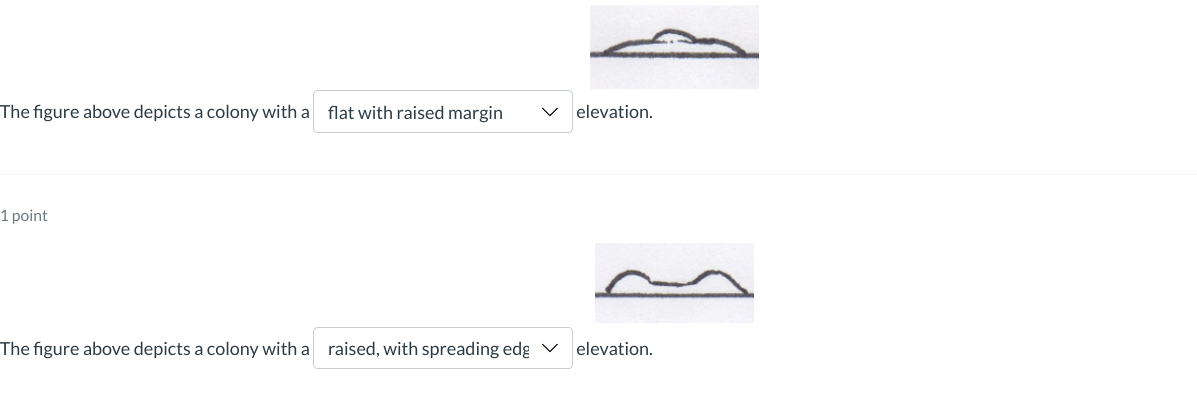 Solved The figure above depicts a colony with a elevation. | Chegg.com