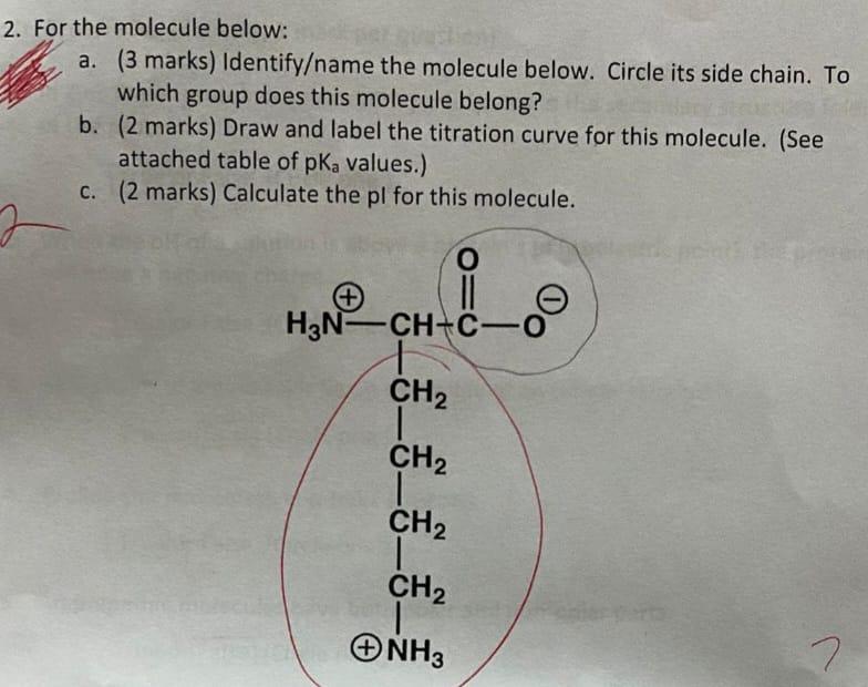Solved 2. For the molecule below: a. (3 marks) Identify/name | Chegg.com