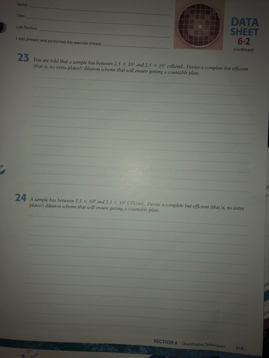 Solved Name Date Lab Section was present and performed this | Chegg.com