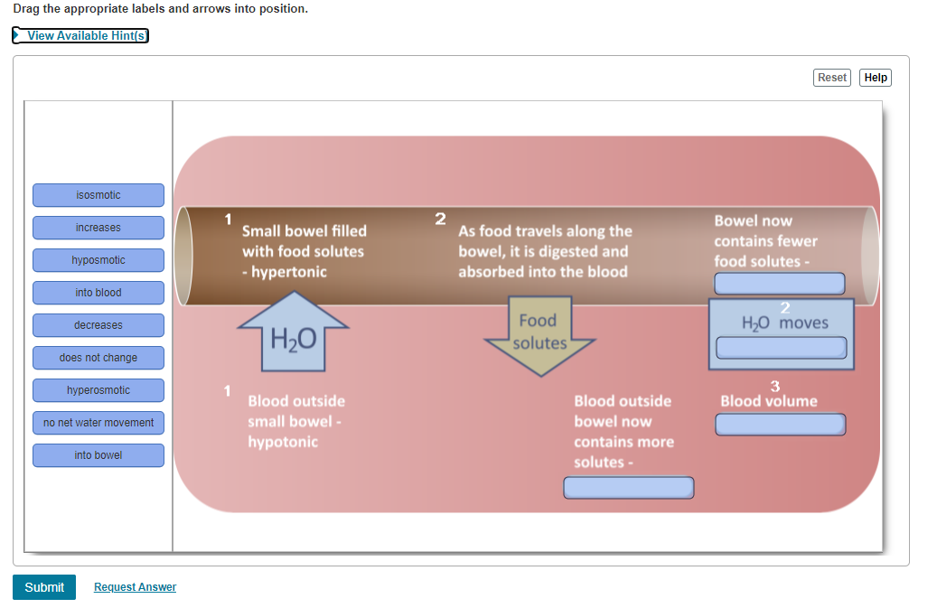 Solved Nurses Need Physiology: Osmosis and the Bowel 14 of | Chegg.com