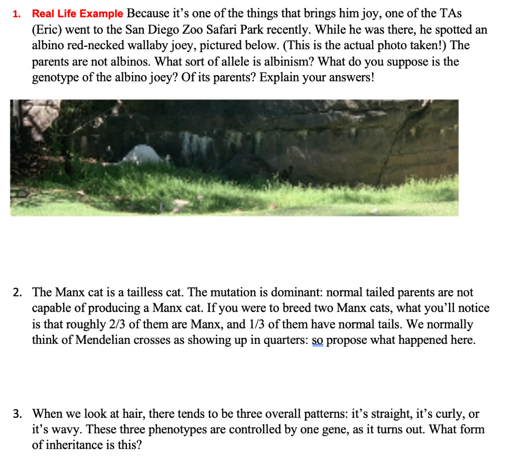 Solved Real Life Example Because it’s one of the things that | Chegg.com