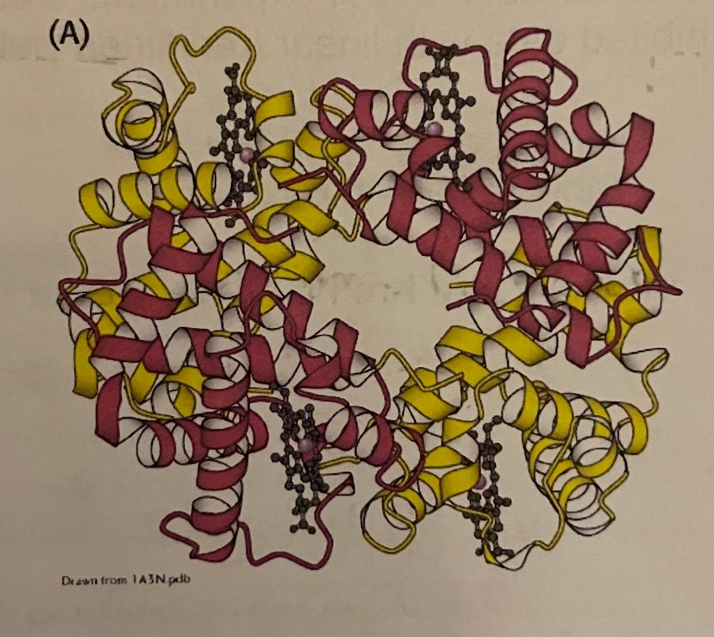 Solved answer the following questions regarding the | Chegg.com