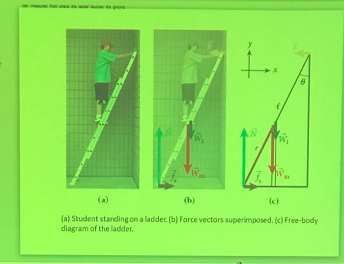 Solved (a) Student standing on a ladder. (b) Force vectors | Chegg.com
