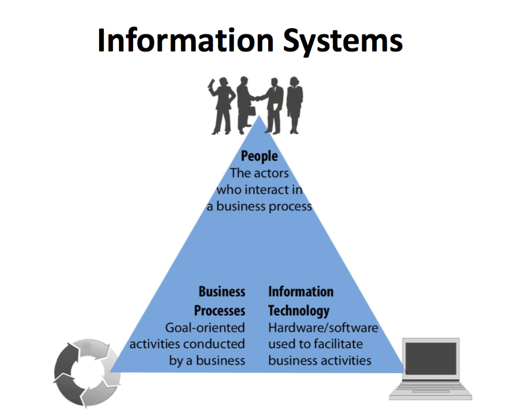 Solved Reference the “Information Systems” triangle slide | Chegg.com
