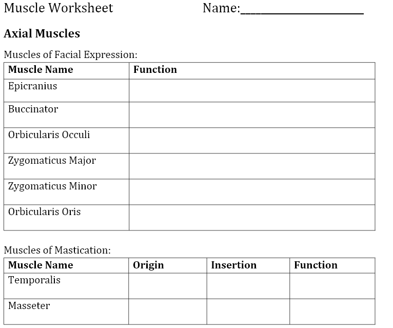 Solved Muscle Worksheet Name: Axial Muscles Muscles of | Chegg.com