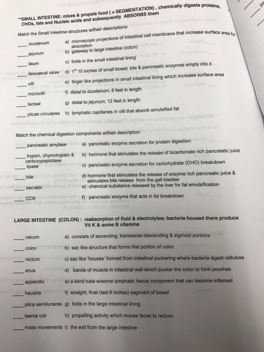 Solved Conditions Appendicitis Cholecystitis (gall bladder | Chegg.com