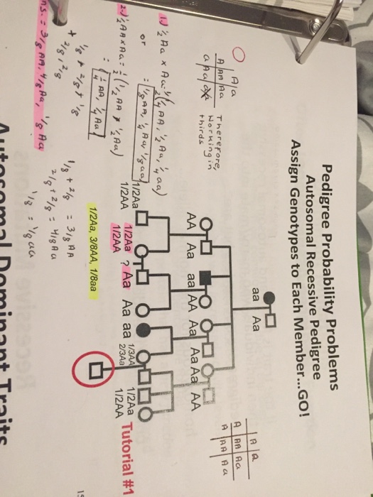 Solved Pedigree Probability Problems Autosomal Recessive | Chegg.com