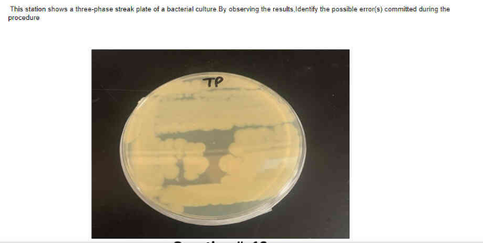 This station shows a three-phase streak piate of a | Chegg.com
