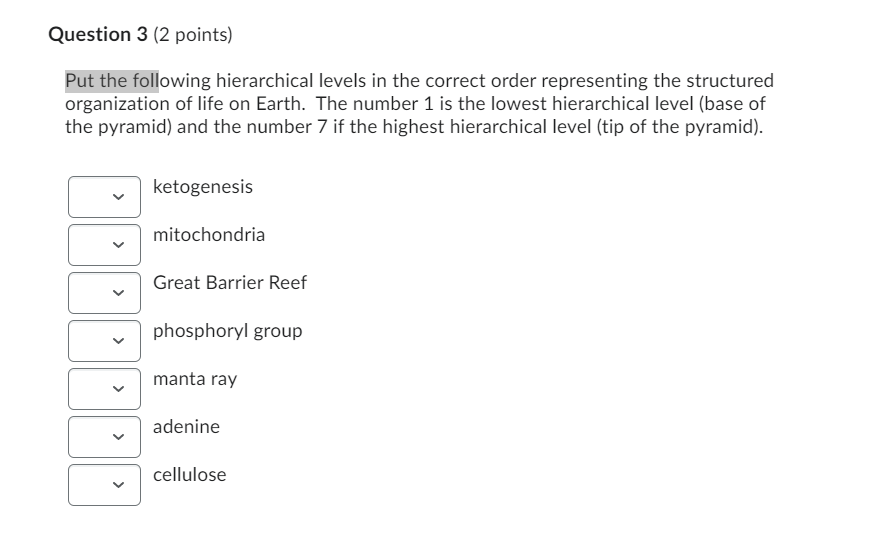 Solved Put the following hierarchical levels in the correct | Chegg.com