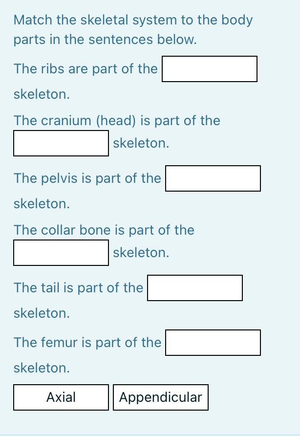 Solved Match the skeletal system to the body parts in the | Chegg.com