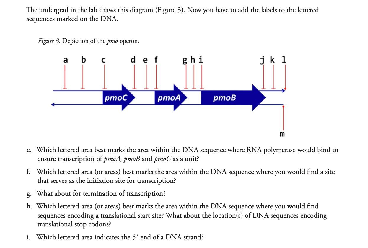 Solved The undergrad in the lab draws this diagram (Figure | Chegg.com
