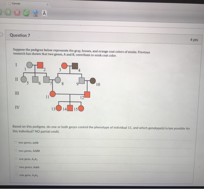 Solved Below is a pedigree of a family with a rare genetic | Chegg.com
