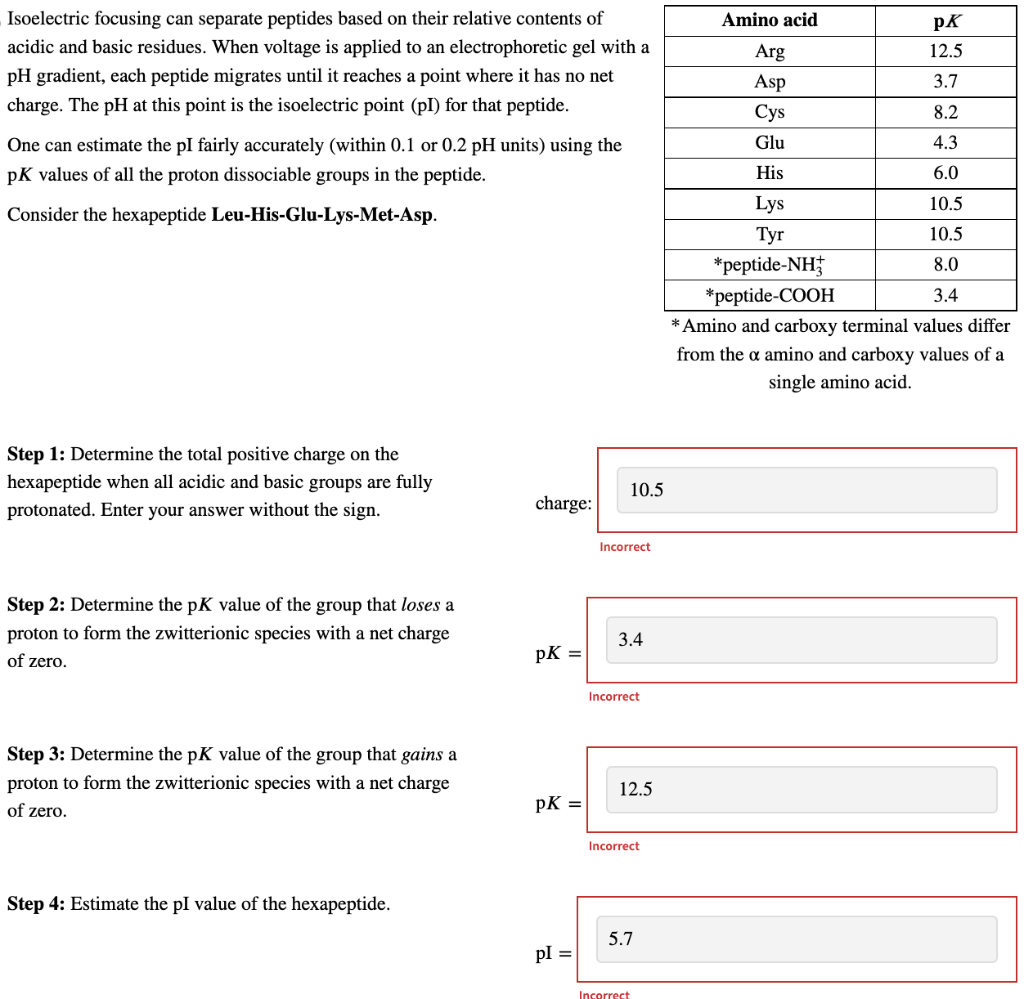 Solved Isoelectric focusing can separate peptides based on | Chegg.com