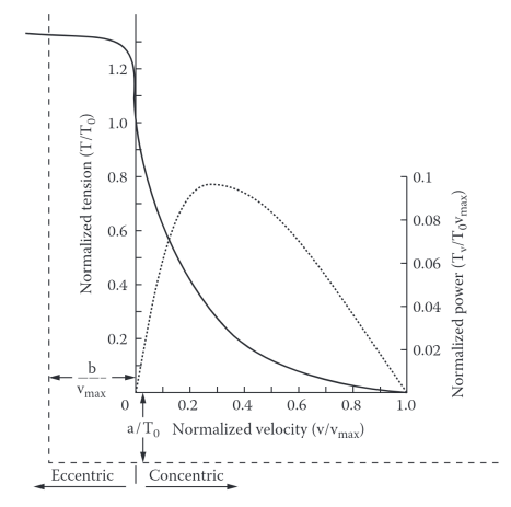 Solved 1. Quantitatively support Henneman's size principle. | Chegg.com