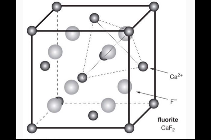 Solved within the unit cell (and are not shared with | Chegg.com