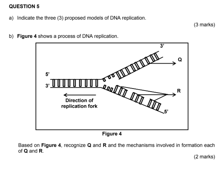Solved QUESTION 5 a) Indicate the three (3) proposed models | Chegg.com