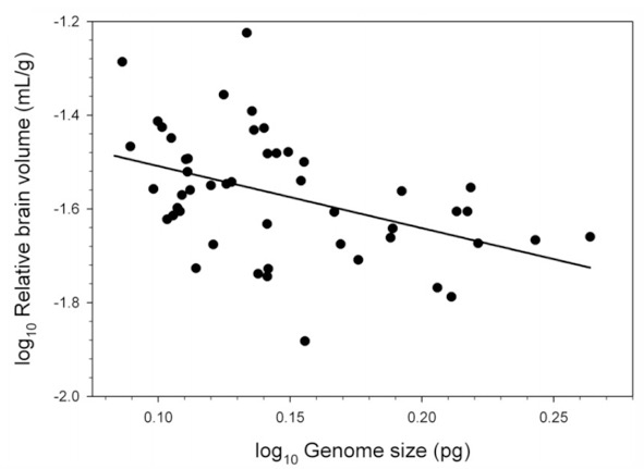 Solved Figure 2 The relationship between relative brain size | Chegg.com