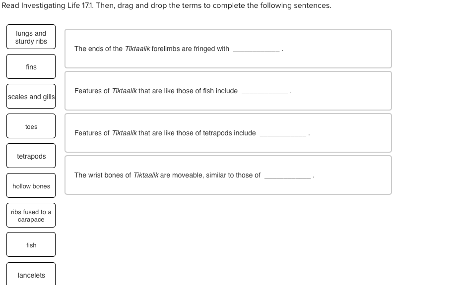 Drag and Drop the Terms to Complete the Following Sentences.