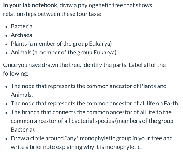 In your lab notebook, draw a phylogenetic tree that | Chegg.com
