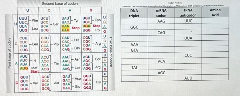 Solved Please complete the table. | Chegg.com