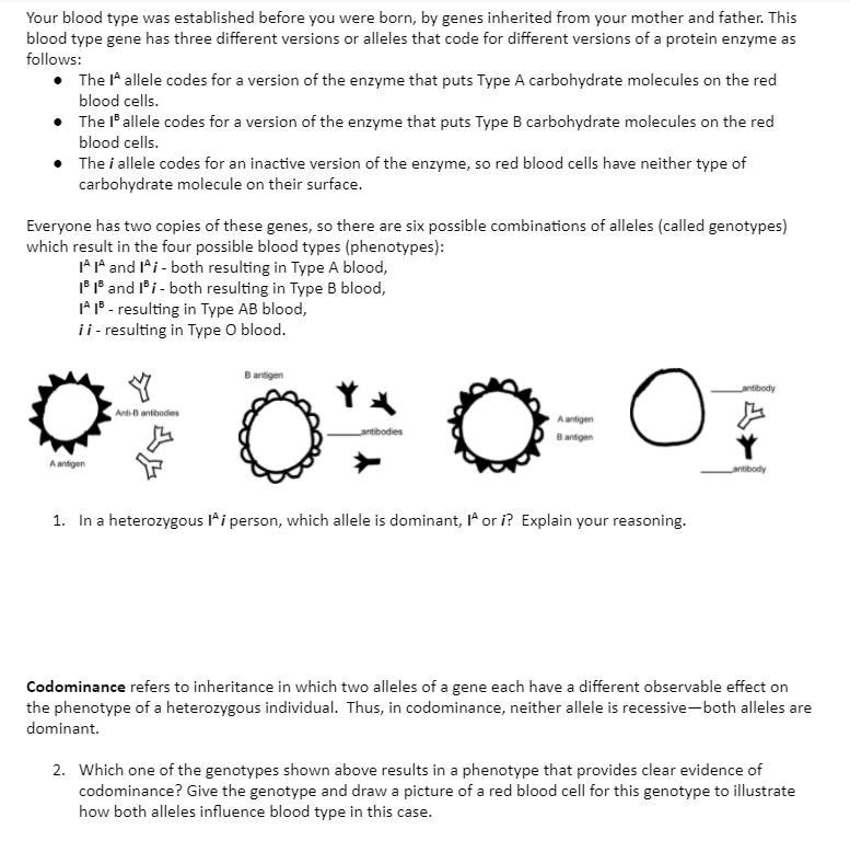Solved Your blood type was established before you were born, | Chegg.com