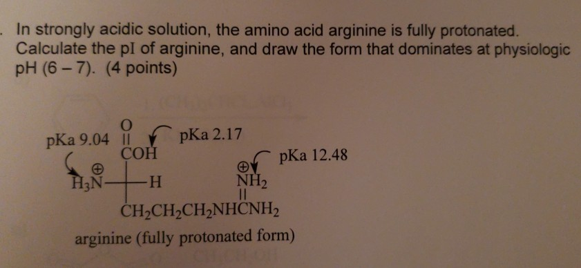 Solved In strongly acidic solution, the amino acid arginine | Chegg.com