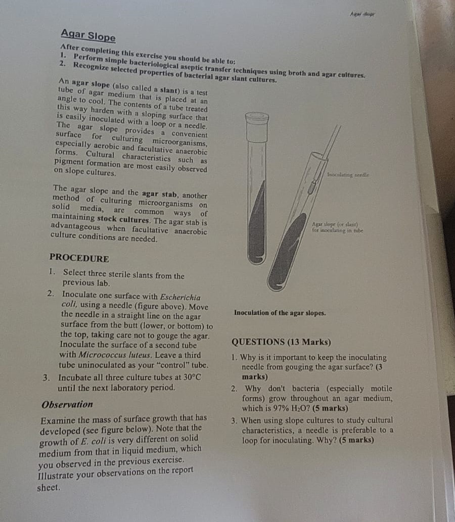 Solved Agar slopeAfter completing this exercise you should | Chegg.com
