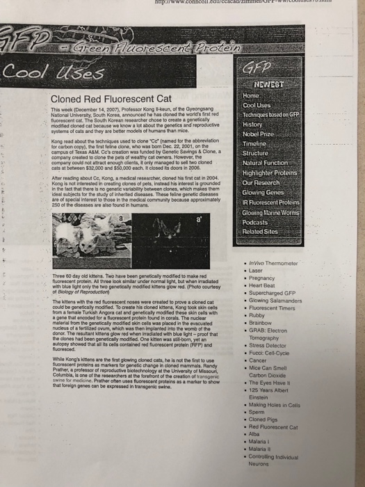 Solved How GFP has he used by the scientist in this article | Chegg.com