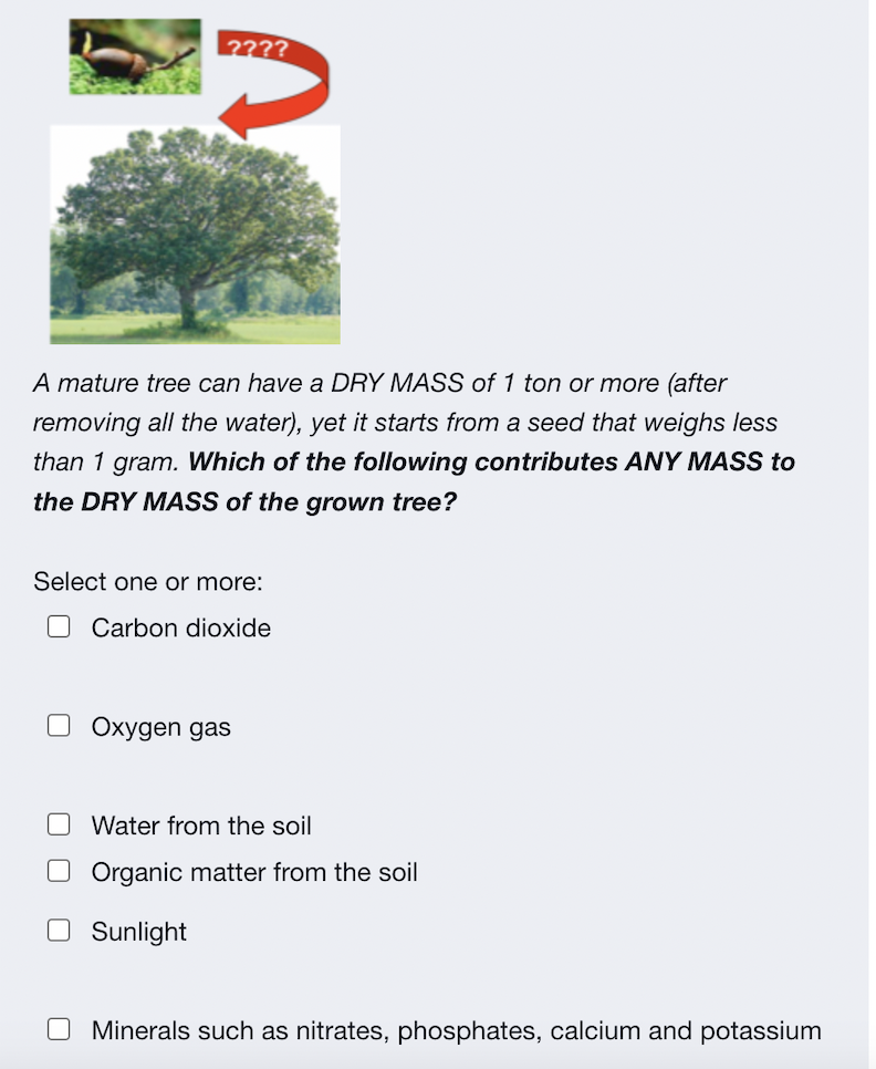 Solved A mature tree can have a DRY MASS of 1 ton or more | Chegg.com
