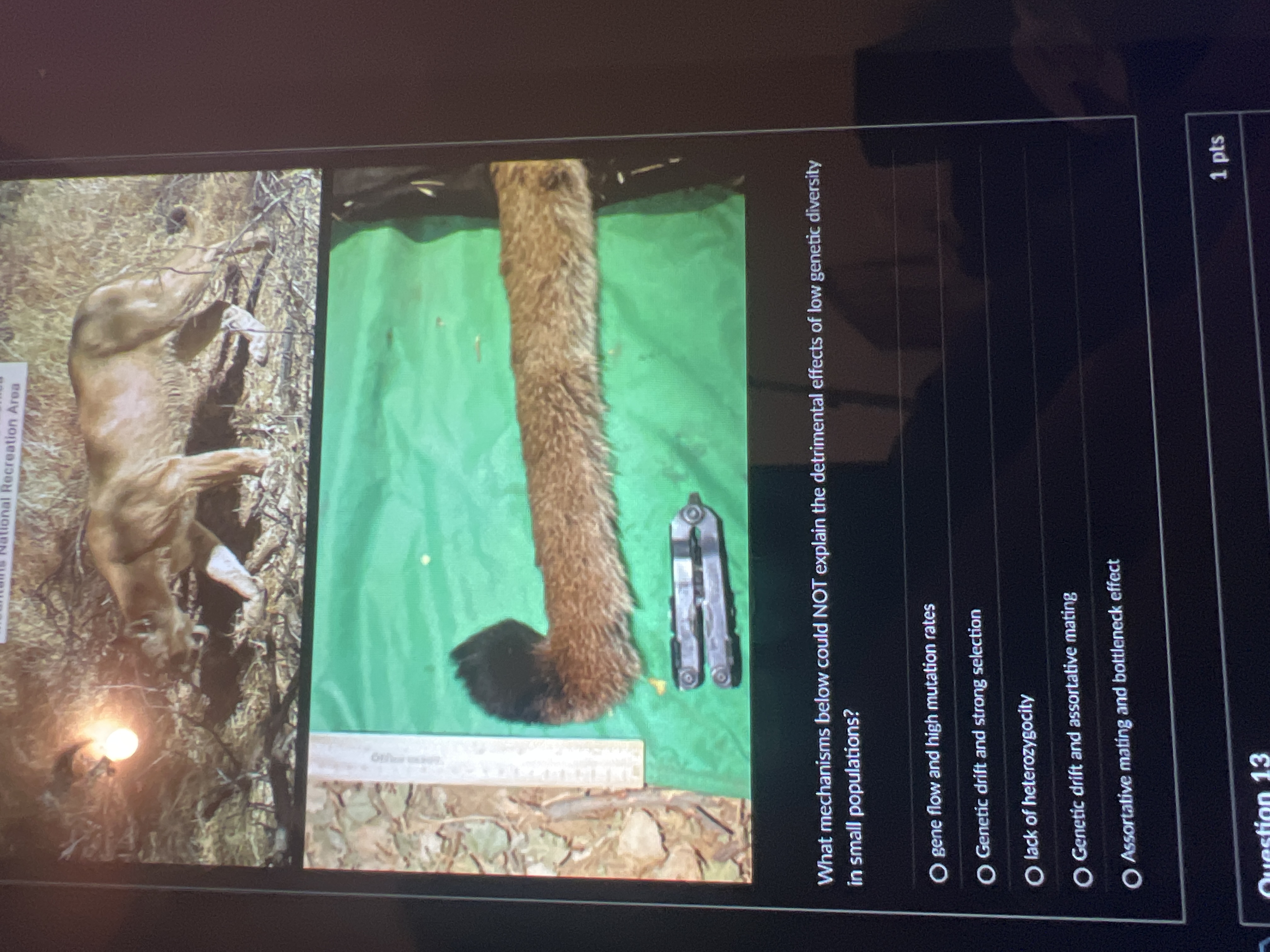 Solved National Park Service Biologists have recently | Chegg.com