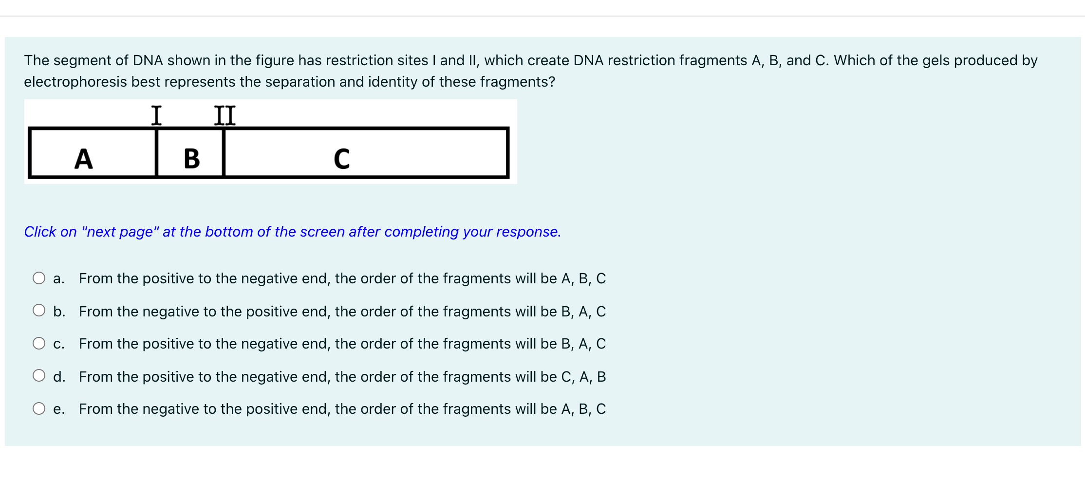 Solved The segment of DNA shown in the figure has | Chegg.com
