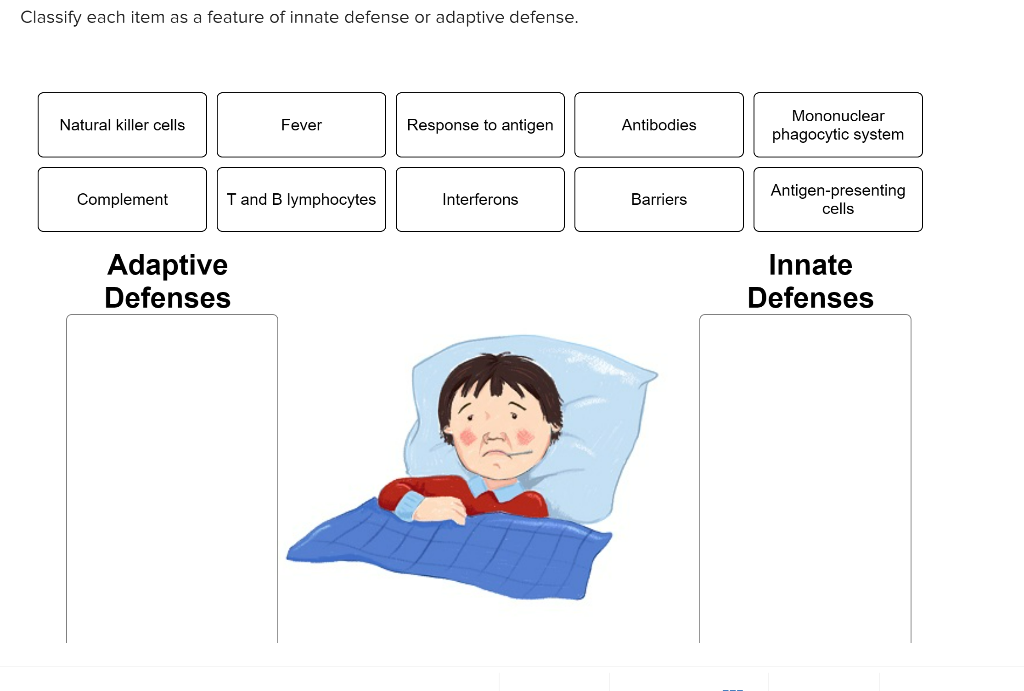 Solved Classify each item as a feature of innate defense or | Chegg.com
