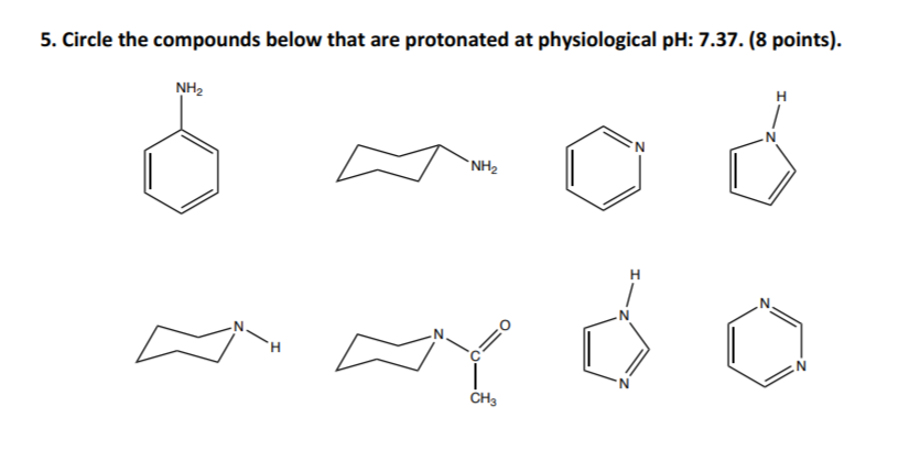 Solved 5. Circle the compounds below that are protonated at | Chegg.com