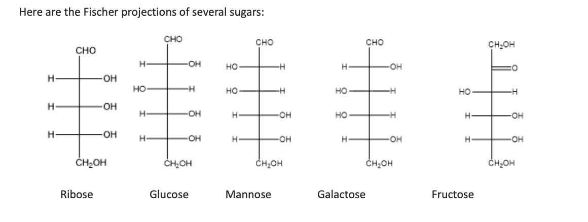 Solved Here are the Fischer projections of several sugars: | Chegg.com