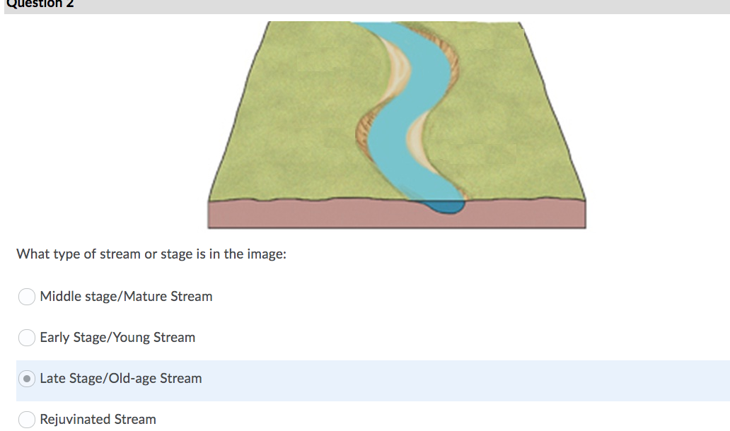 Solved Questloh 2 What Type Of Stream Or Stage Is In The
