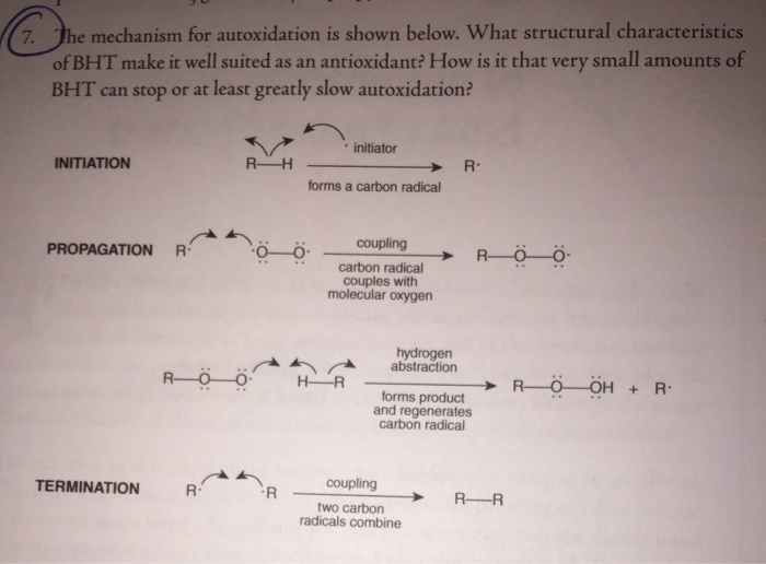 Solved The mechanism for autoxidation is shown below. What | Chegg.com
