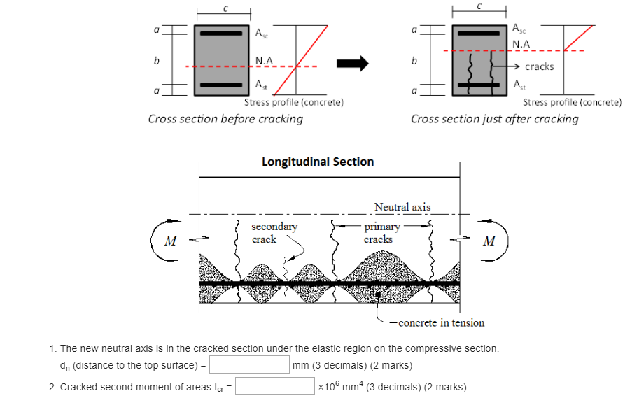 Solved The point loads are placed at the fixed positions | Chegg.com