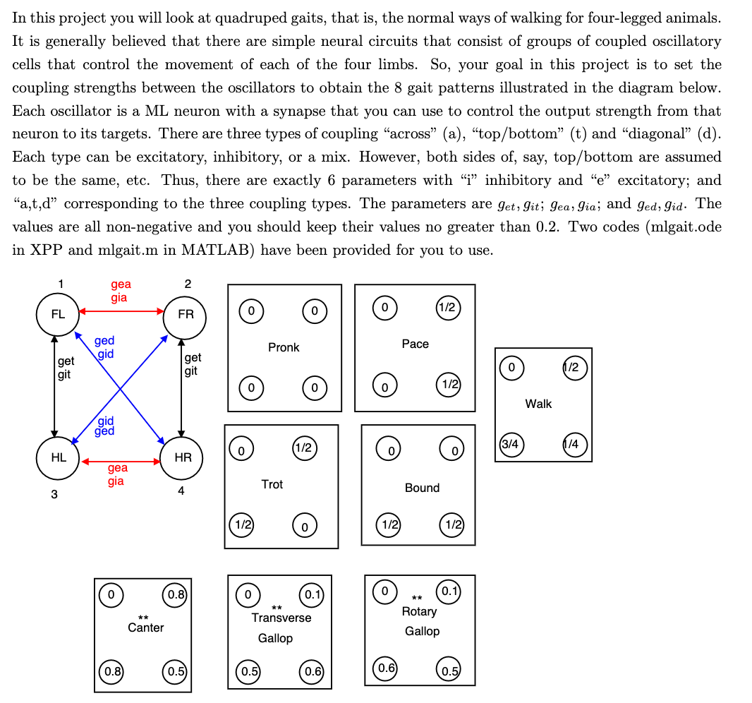 Solved In this project you will look at quadruped gaits, | Chegg.com